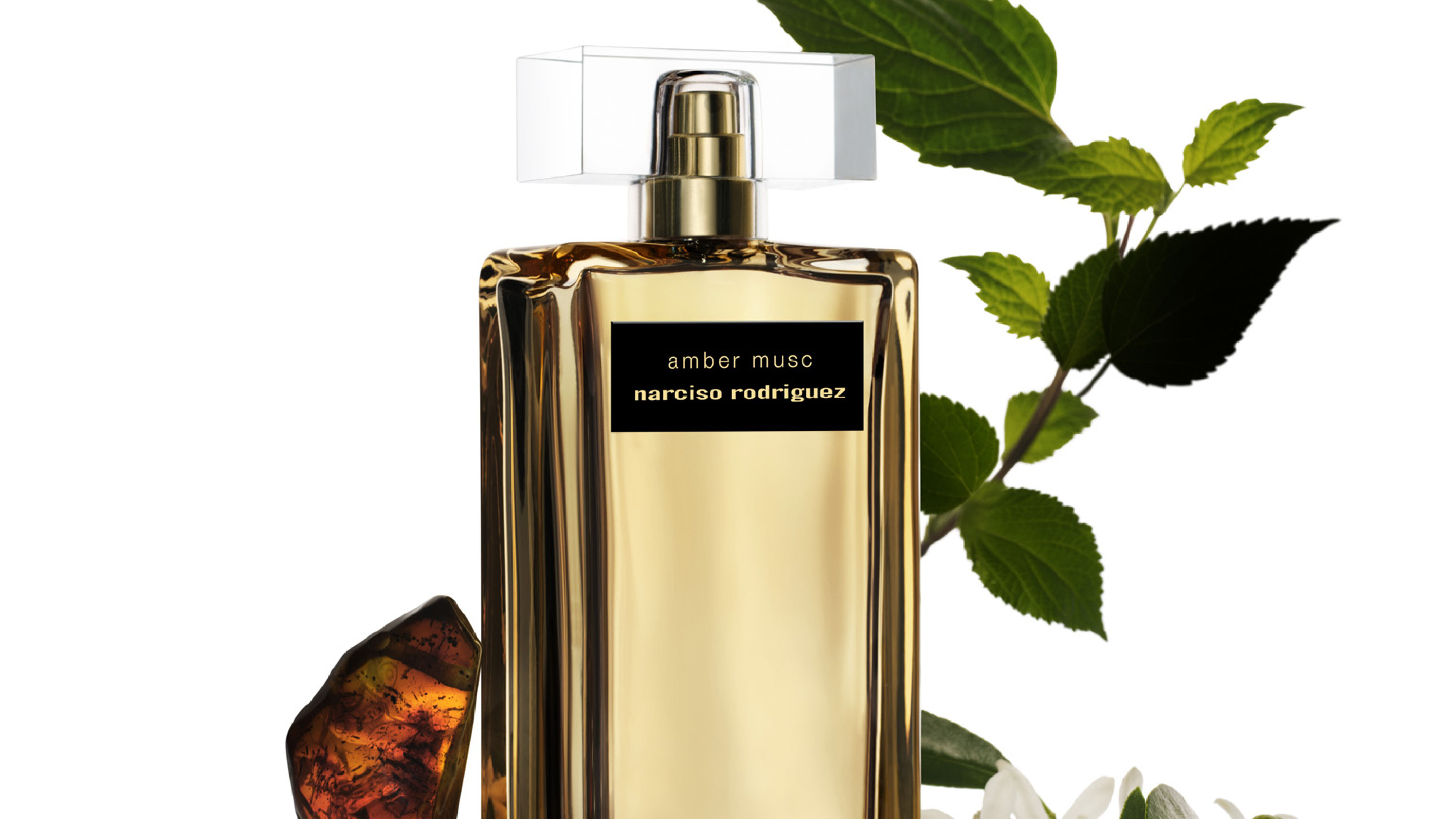 Narciso Rodriguez Perfume Amber Musc Eau de Parfum Intense